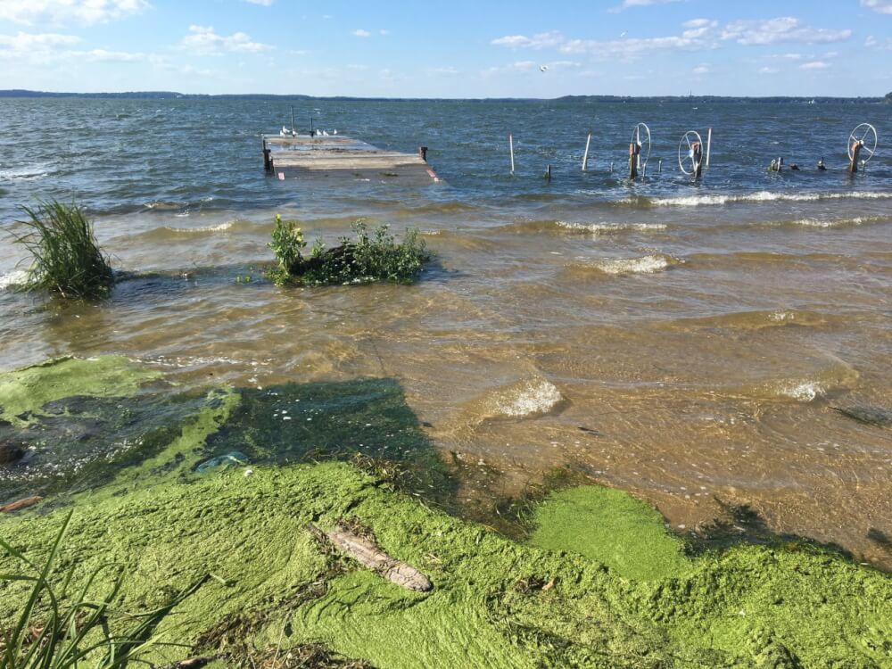 Greater Madison flooding impacts our lakes - Clean Lakes Alliance