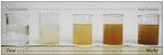 Turbidity Scale - Clean Lakes Alliance