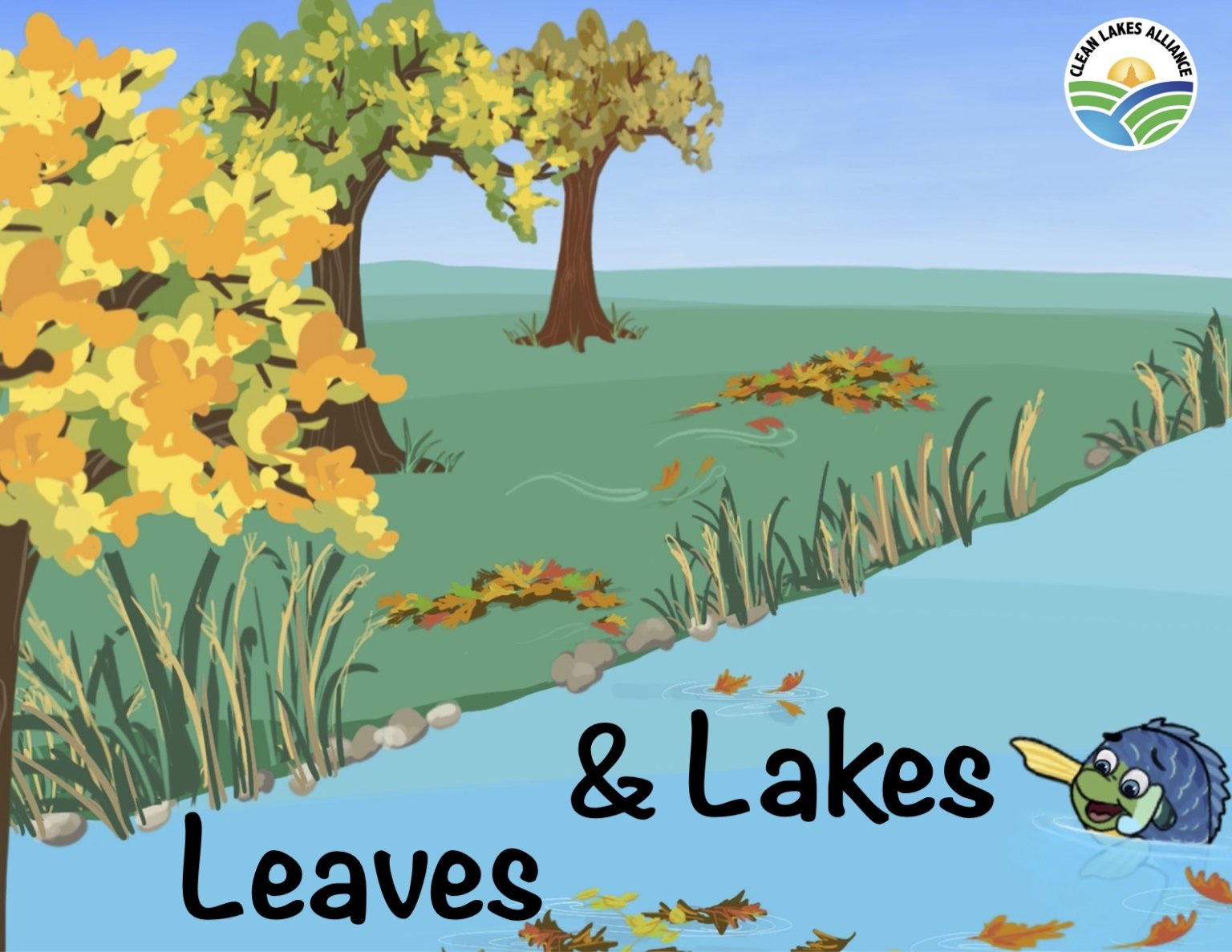 Youth Education - Clean Lakes Alliance