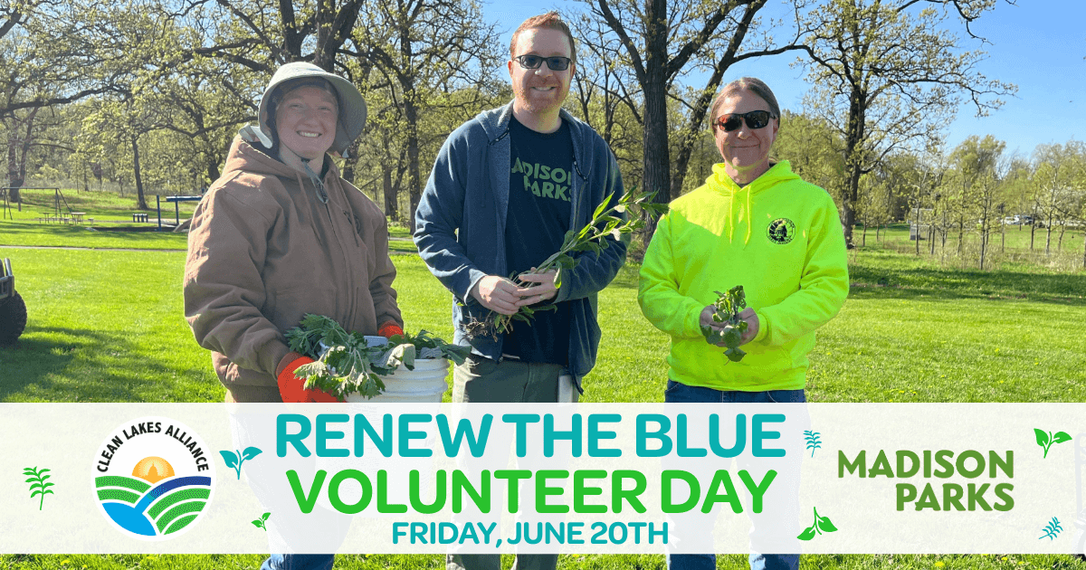 Community Volunteer Day - Clean Lakes Alliance