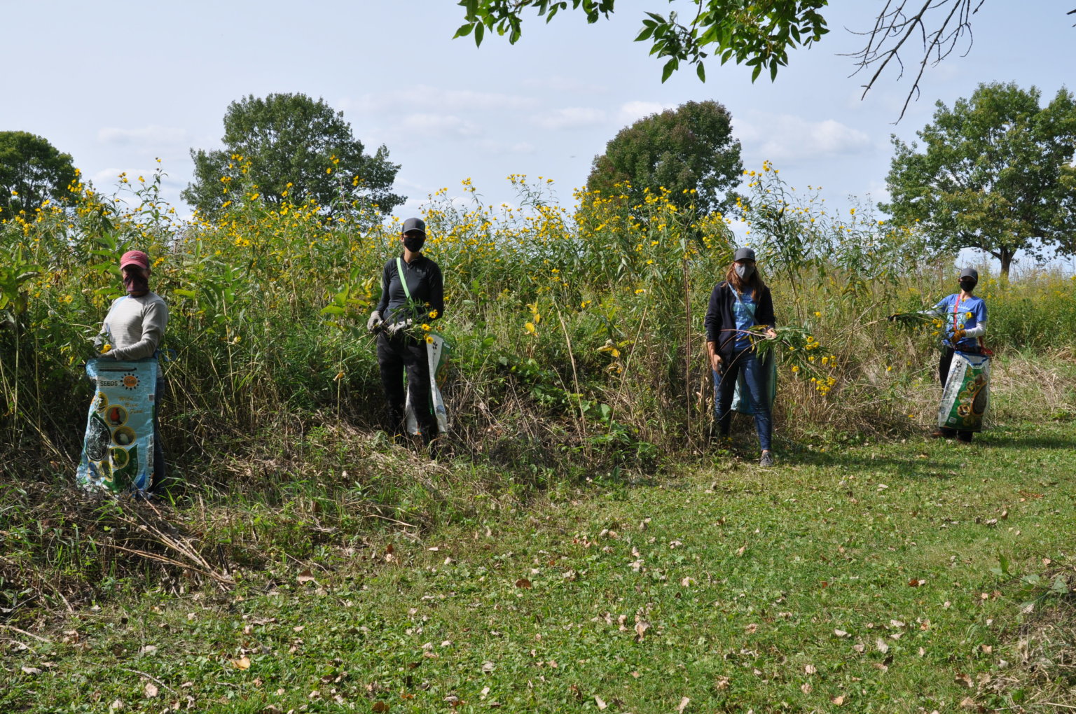 Clean Lakes Volunteer Days - Clean Lakes Alliance