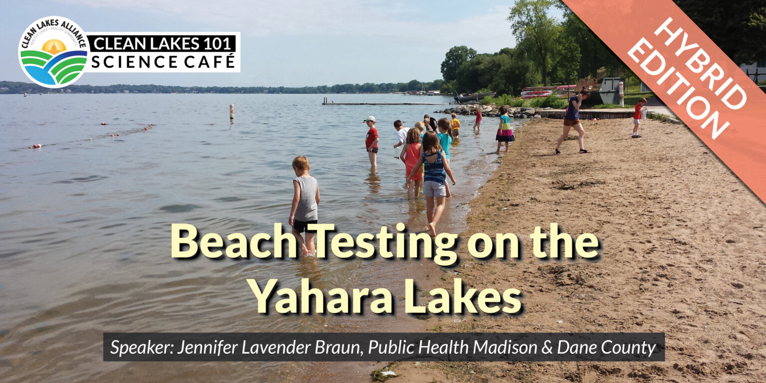 Clean Lakes 101: Beach Testing on the Yahara Lakes - Clean Lakes Alliance