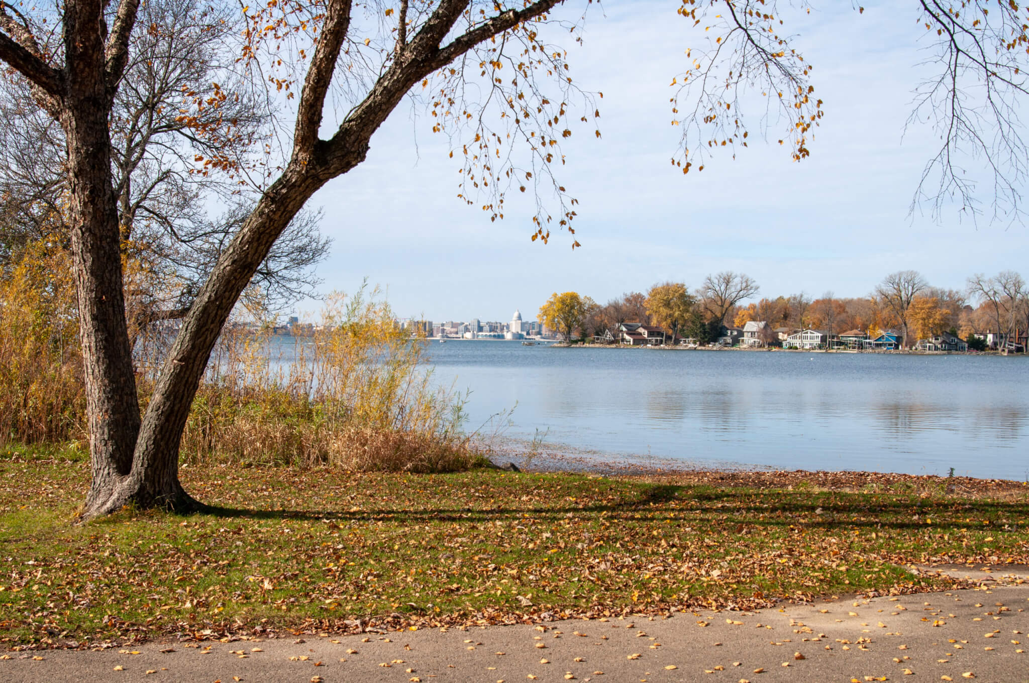 Paunack Park - Clean Lakes Alliance