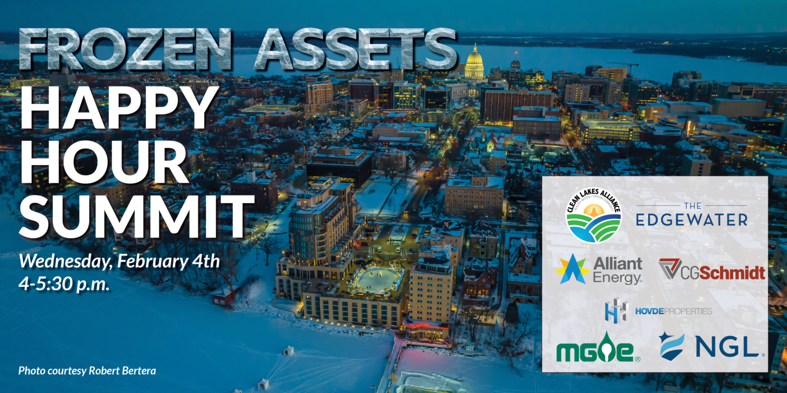 Frozen Assets Festival & Fundraiser - Clean Lakes Alliance